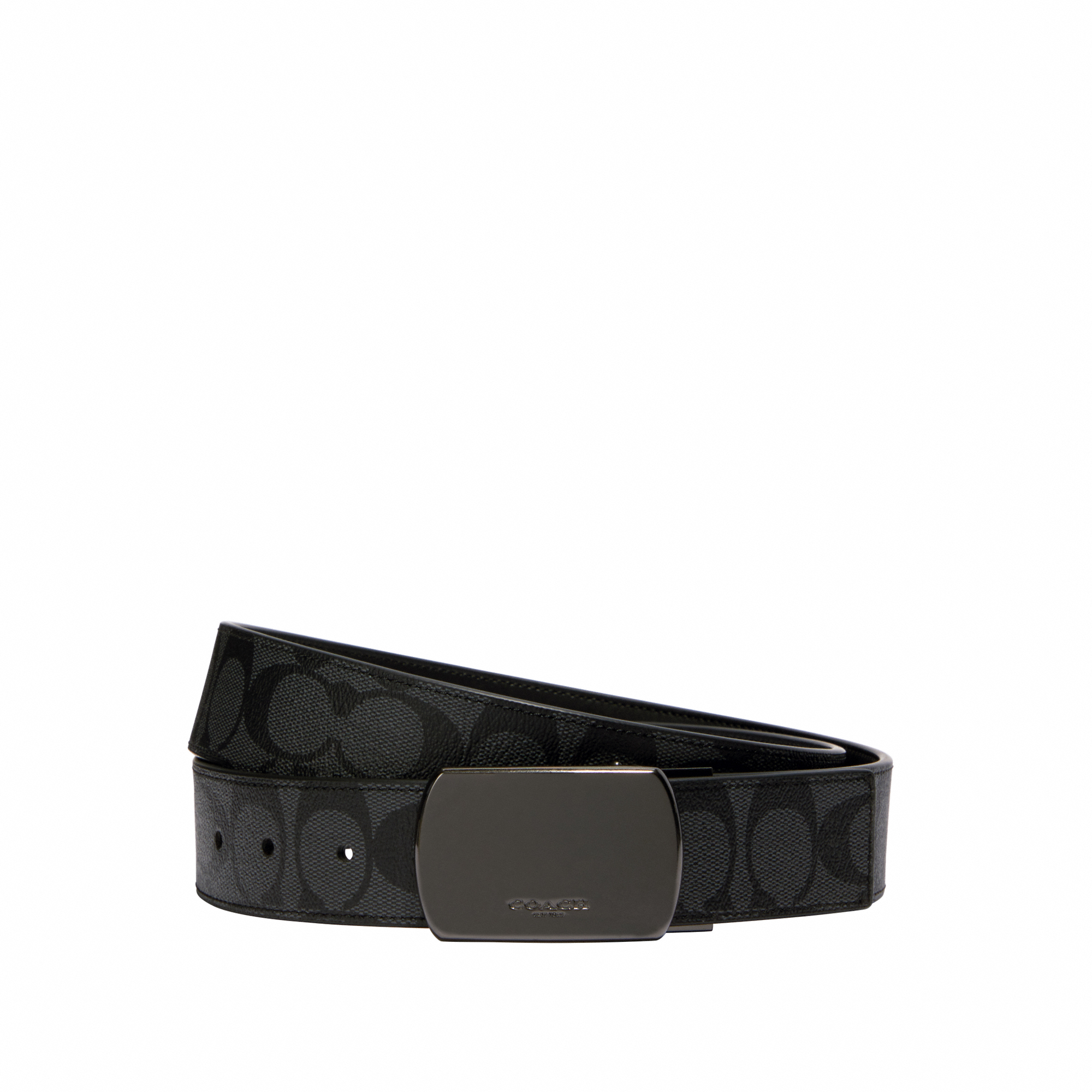 38MM Modern Plaque Belt in Signature