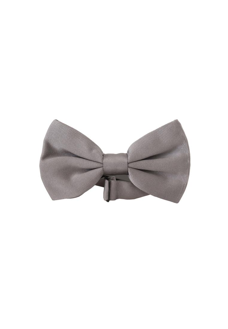 Dolce & Gabbana Men's Gray 100% Silk Adjustable Neck Papillon Tie