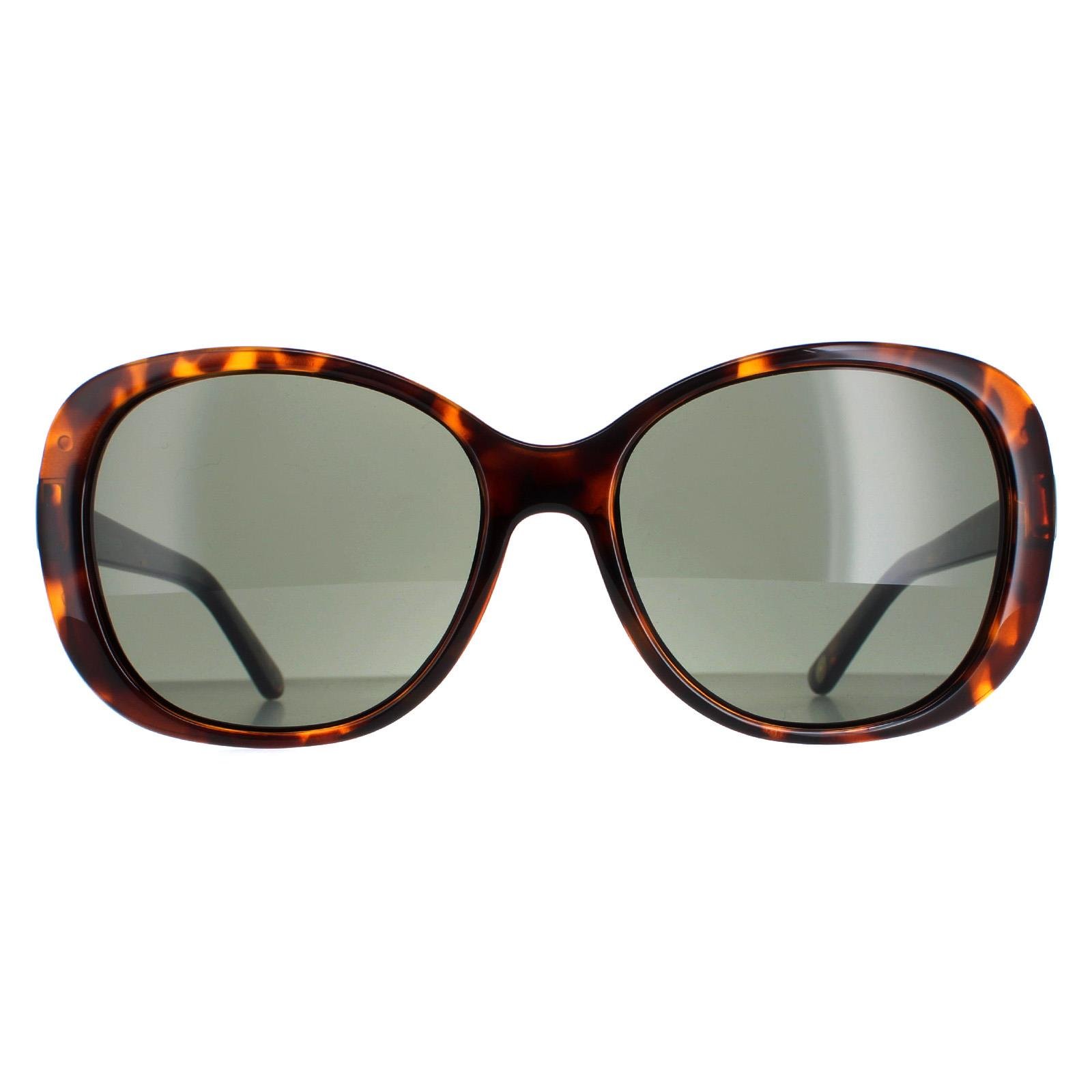 Ted Baker TB1343 Nola 169 havana lichtgroene zonnebril