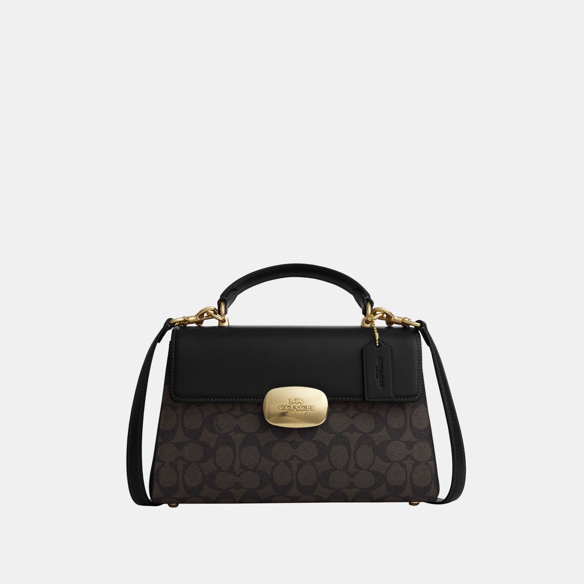 Eliza Top Handle in Signature Canvas