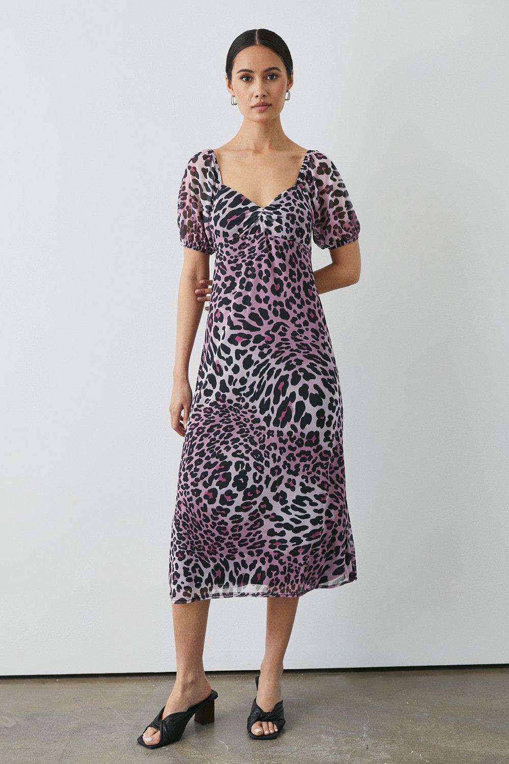 Blush Animal Mesh Sweetheart Dress