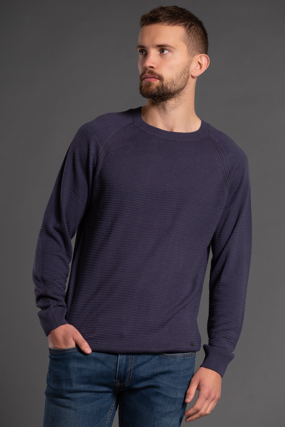 Blue Crew Neck Textured Jumper