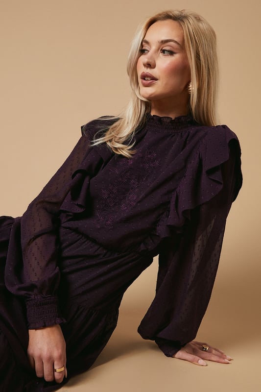 Embroidered Dobby Chiffon Mini Dress
