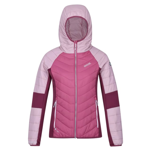 Regatta Womens/Ladies Trutton Lightweight Padded Jacket (Violet ...