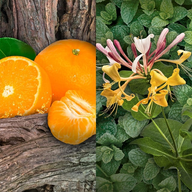 Lynx Recharge & Africa Body Wash, Body Spray 4Pcs Gift Set for Him with ...