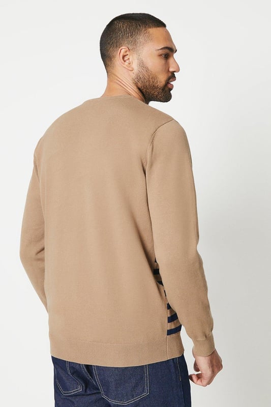 Placement Stripe Crew Neck Jumper