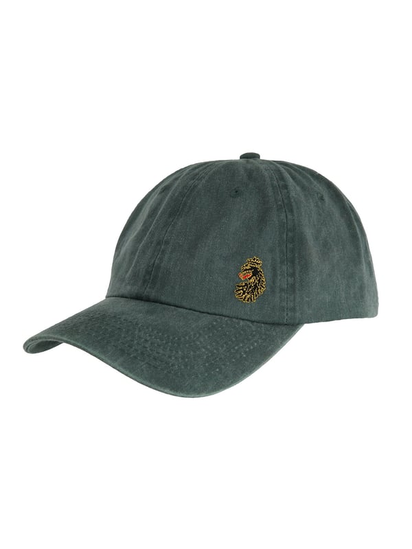 Luke 1977 Men's Rave Cap in Green