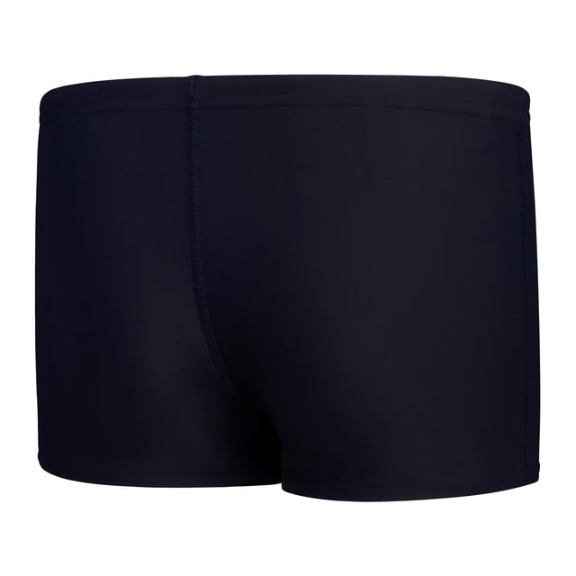 Boy's Speedo Plastisol Aquashorts in navy green