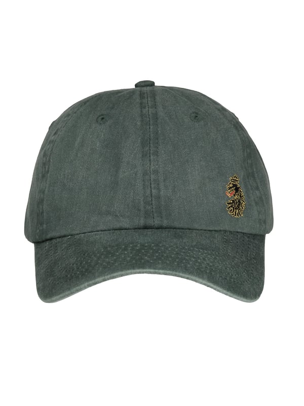 Luke 1977 Men's Rave Cap in Green