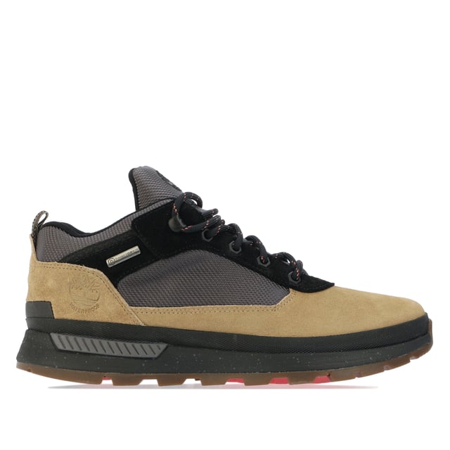Men's Timberland Field Trekker Low Waterproof Boot in Stone