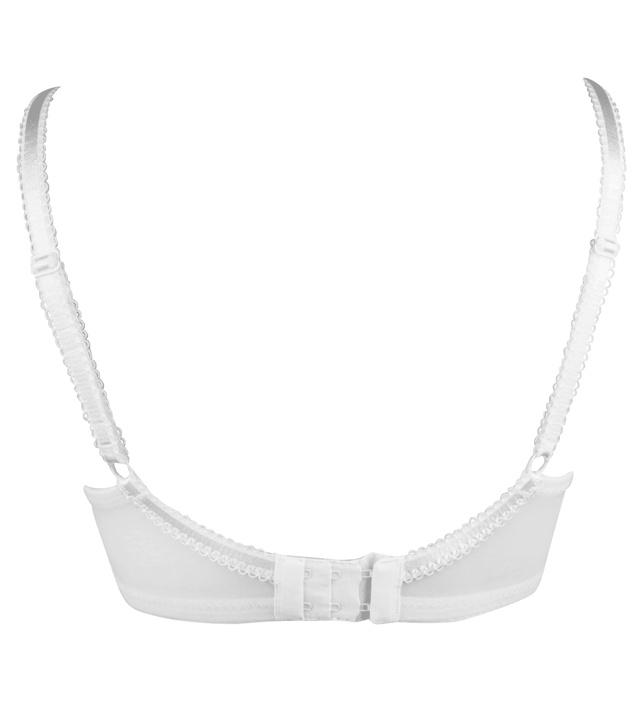 3804 Pour Moi Imogen Rose Full Cup Bra