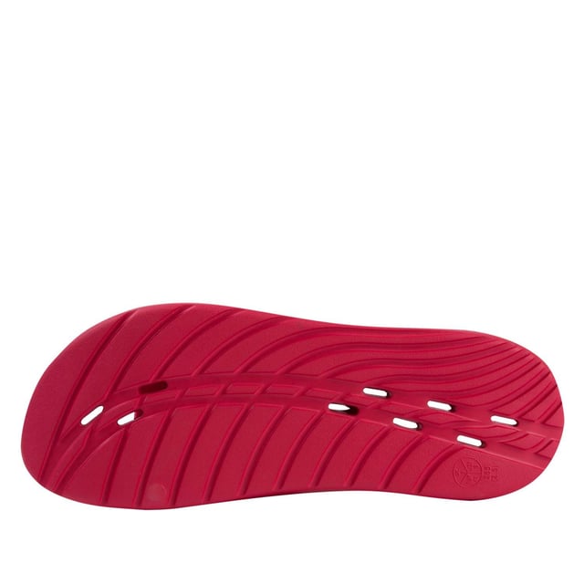 Men's Speedo Sliders in Red