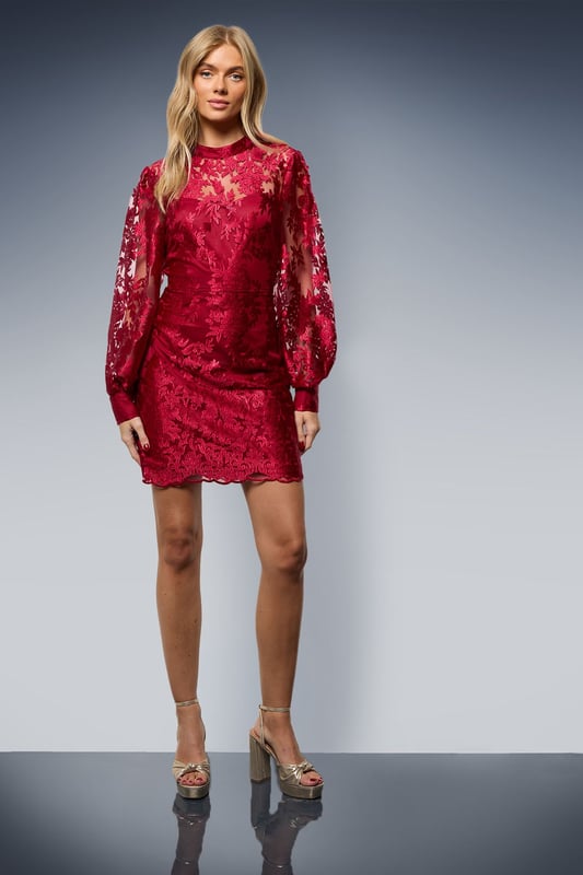 Embroidered Mesh Sweetheart Neck Mini Dress