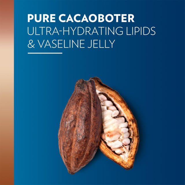 Vaseline Intensive Care Cocoa Radiant Body Lotion, 9 pack, 600ml for ...