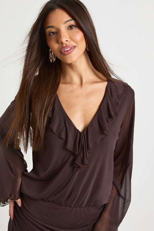 Mesh Ruffle Neck Dropped Waist Mini Dress