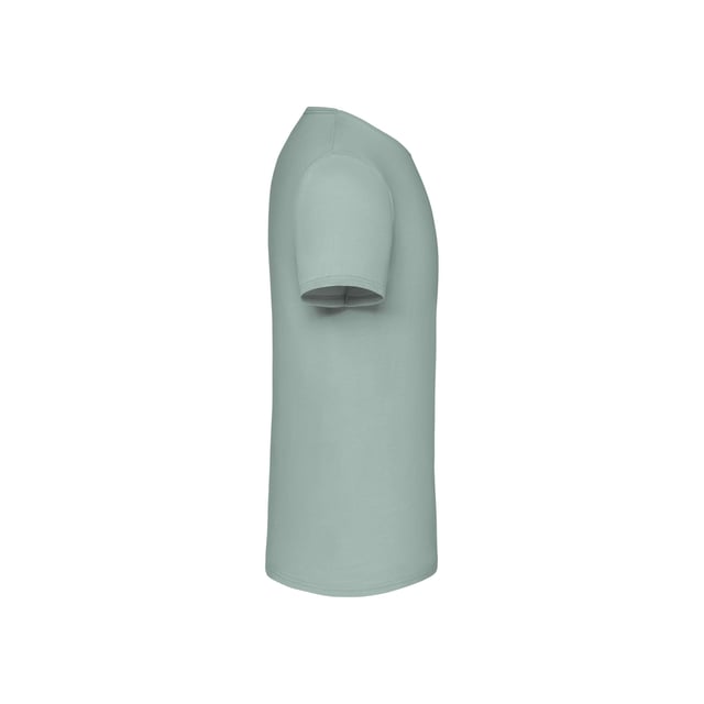 Fruit Of The Loom Mens Iconic 150 T-Shirt (Sage)