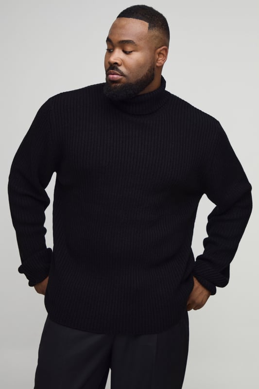 Plus Basic Regular Fit Ribbed Roll Neck Jumper