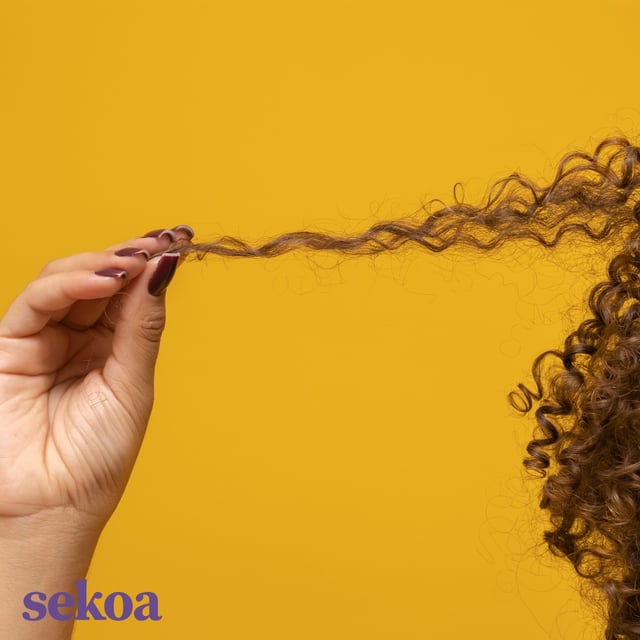 Sekoa Jamaican Black Castor Oil Shampoo 250ml, Conditioner 250ml And ...